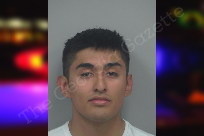 Michael Rivas — Gwinnett County Jail Bookings