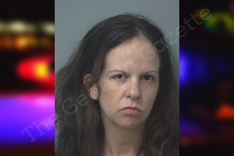 Amanda Rogers — Gwinnett County Jail Bookings