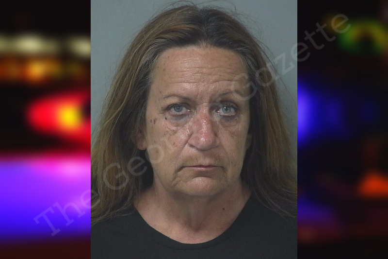 Cynthia Rudell — Gwinnett County Jail Bookings