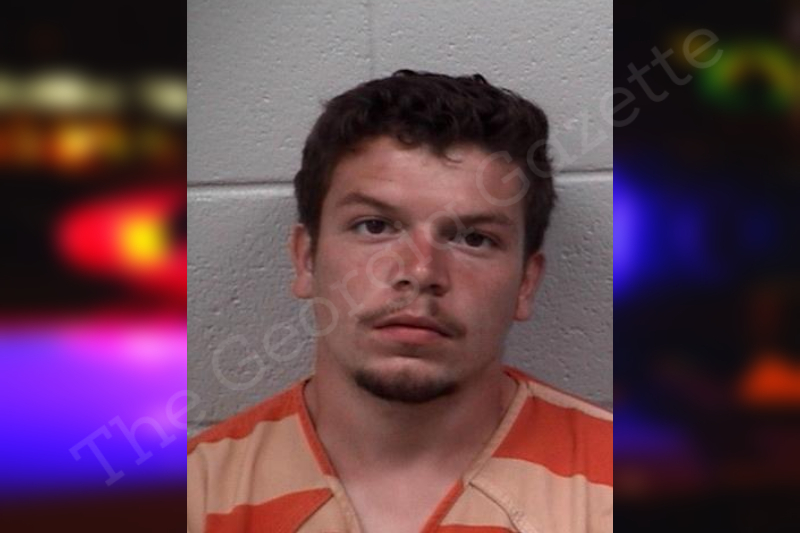 Timothy Smith — Paulding County Jail Bookings