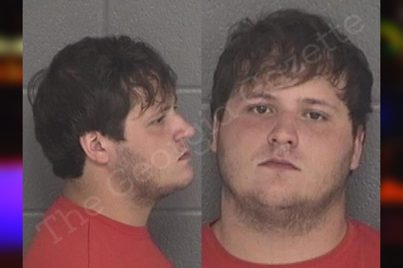 Nathan Ward — Barrow County Jail Bookings