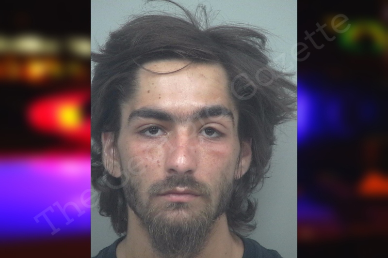 Matthew Berthelot | Gwinnett County