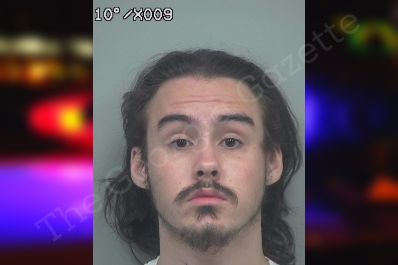 Dylan Combs — Gwinnett County Jail Bookings