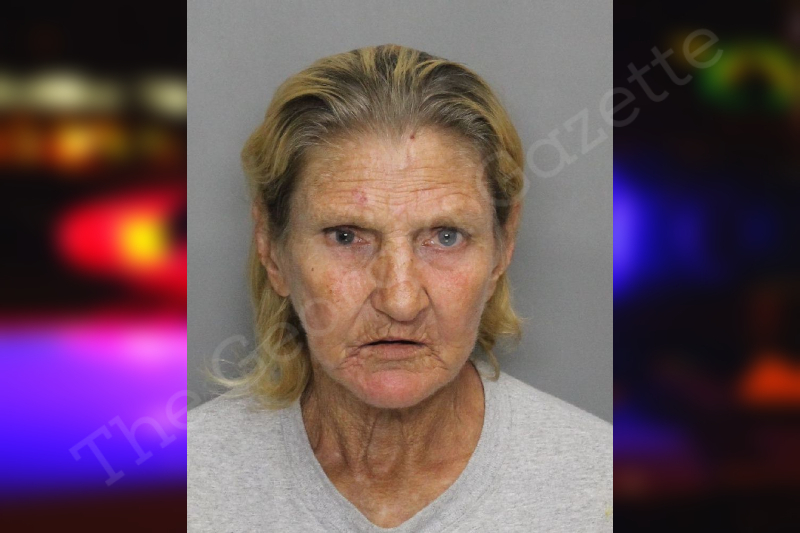 Cindy Ray | Cobb County