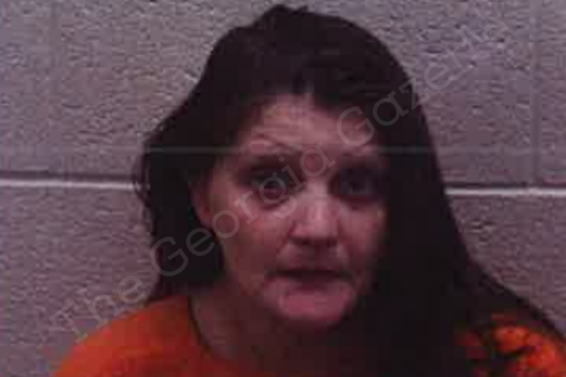 Jessica Dodd — Pickens County Jail Bookings