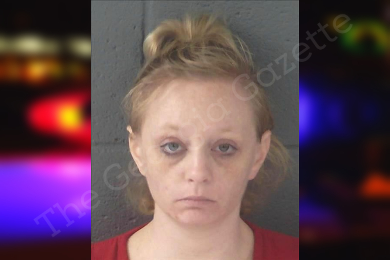 Elizabeth Ellis | Newton County Jail Bookings