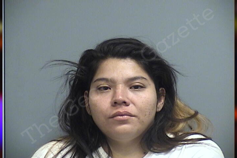 Sarah Fabela — Effingham County Jail Bookings