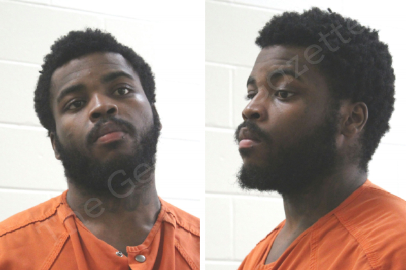 Roy Ford — Houston County Jail Bookings