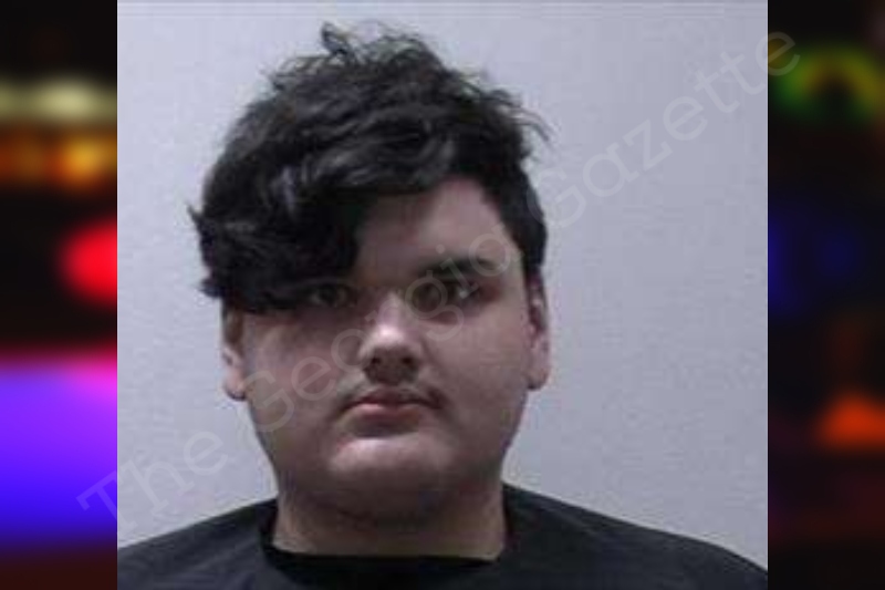 Chandler Gaines — Habersham County Jail Bookings