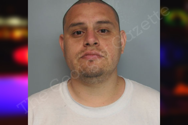 Mario Gonzales — Hall County Jail Bookings
