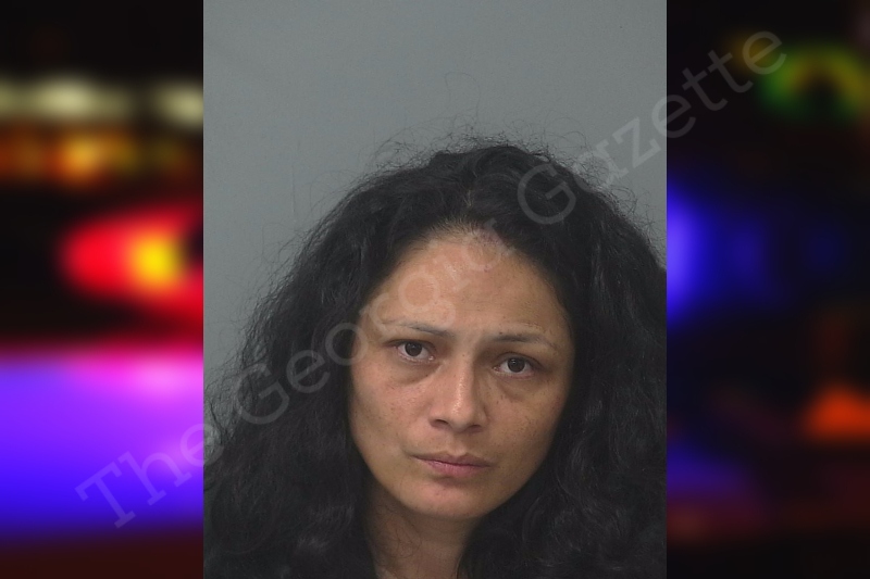 Nora Guiterrez Rojas — Gwinnett County Jail Bookings