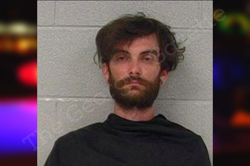 Dillon Haynes | Carroll County