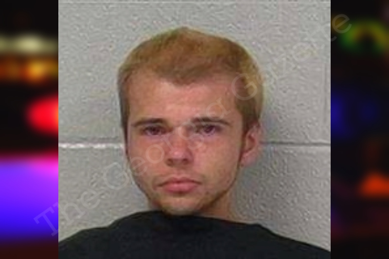 Ryan Horton — Carroll County Jail Bookings