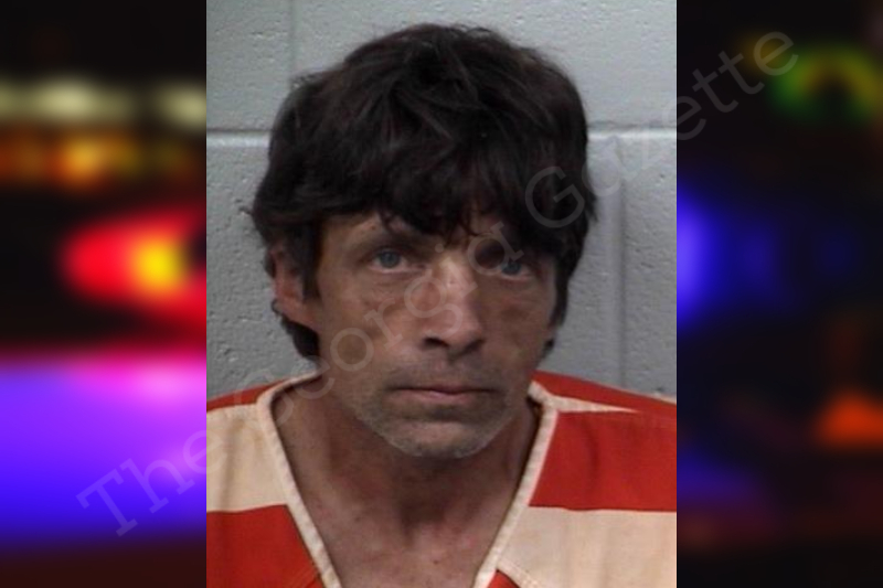 Timothy Howell — Paulding County Jail Bookings