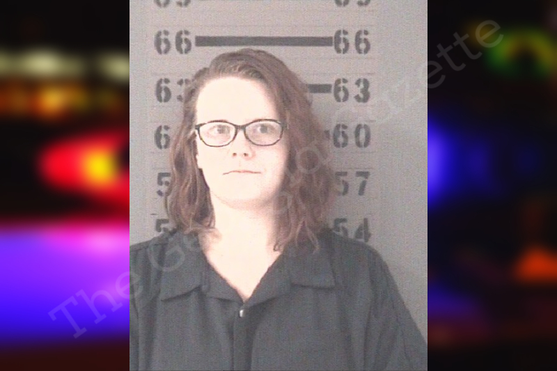 Cindy Hunt — Dougherty County Jail Bookings