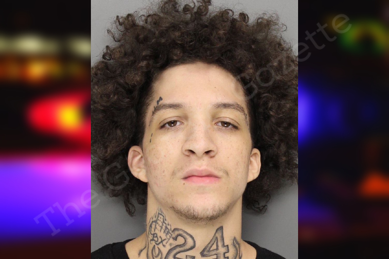 Harrison Easley — Cobb County Jail Bookings