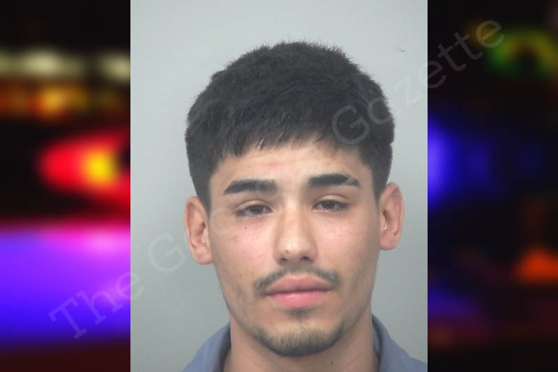 David Henao — Gwinnett County Jail Bookings