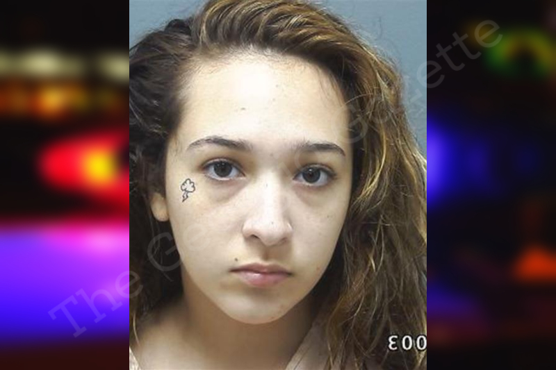 Breonna Johnson — Cherokee County Jail Bookings