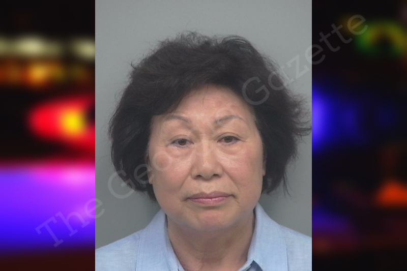 Nancy Kim — Gwinnett County Jail Bookings