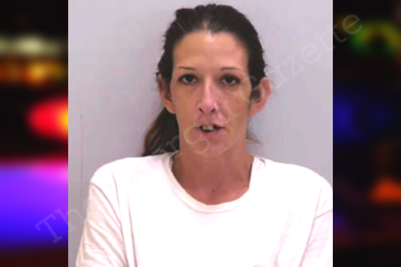 Amanda Kincaid — Bartow County Jail Bookings