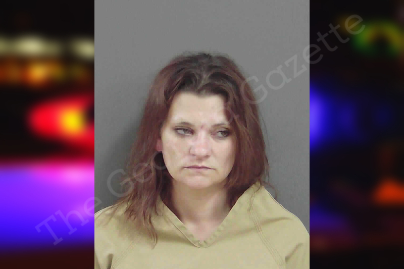 Tonya Kinsey — Gordon County Jail Bookings