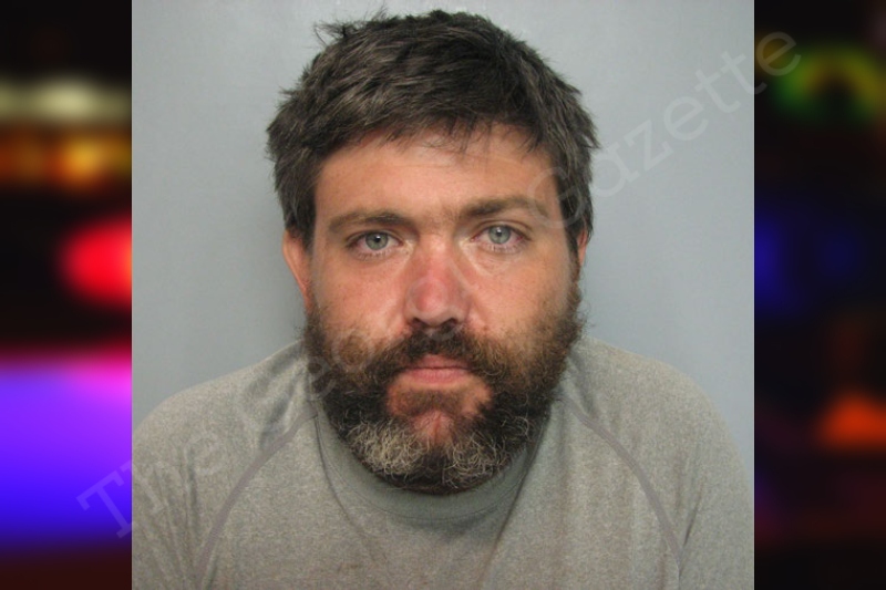 Thomas Little — Hall County Jail Bookings