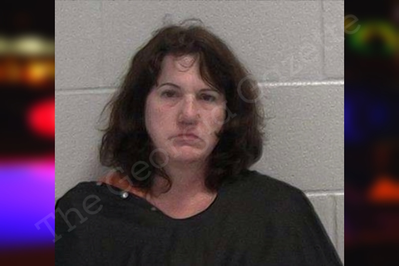 Allison Lynes — Carroll County Jail Bookings