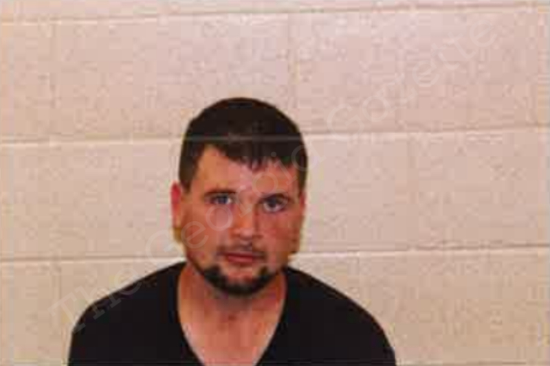 Steven Leibel — Pickens County Jail Bookings