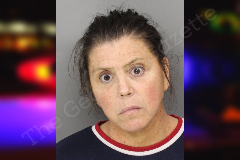 Lisa Lenn — Cobb County Jail Bookings