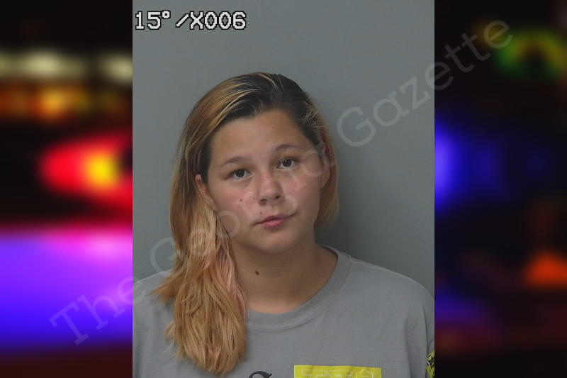 Edith Morales — Gwinnett County Jail Bookings