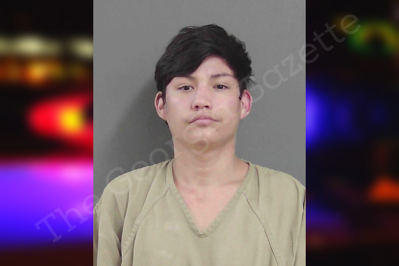 Cameron Mulligan — Gordon County Jail Bookings