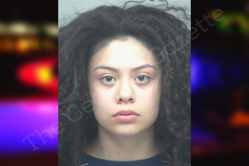 Liliana Nino — Gwinnett County Jail Bookings