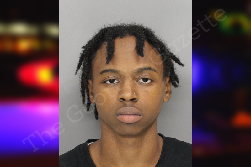 Nathan Hurst — Cobb County Jail Bookings