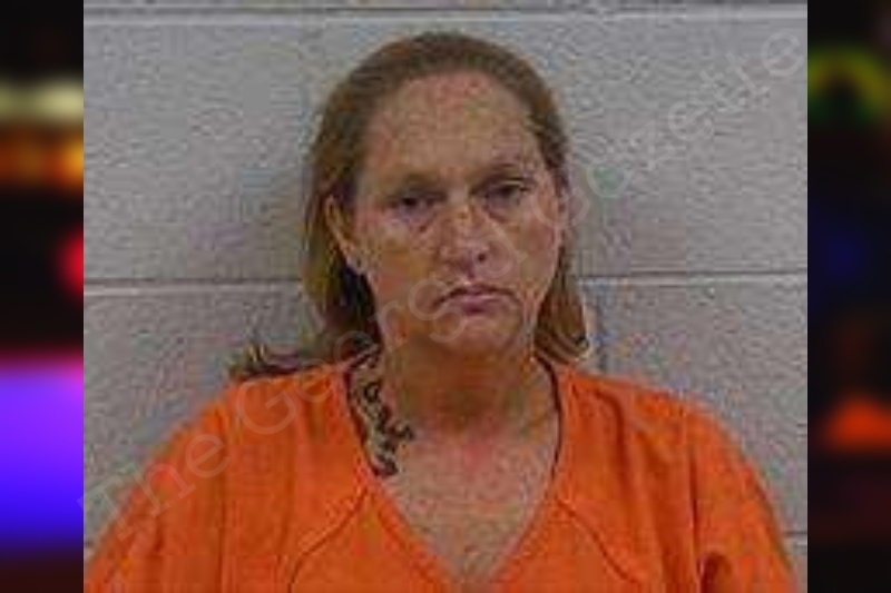 Miranda Patterson — Polk County Jail Bookings