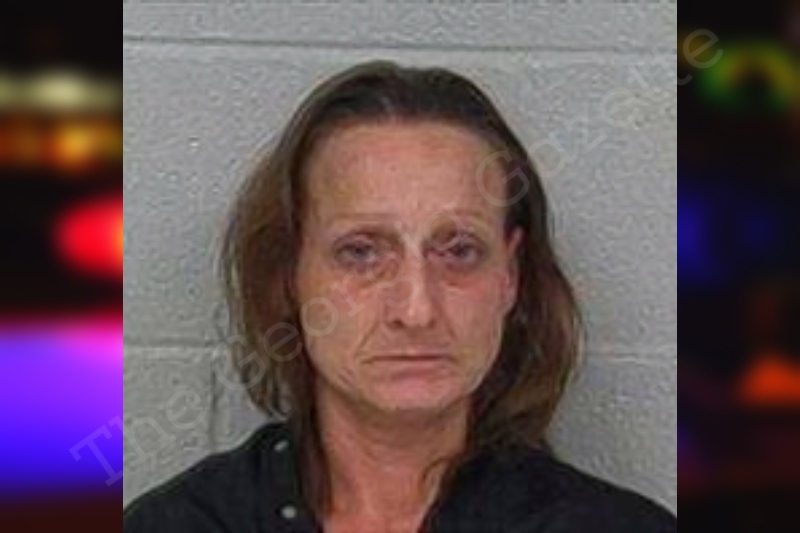 Tabitha Ploof — Carroll County Jail Bookings