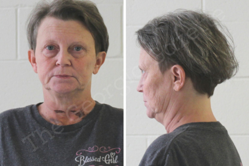 Angela Pollock — Houston County Jail Bookings