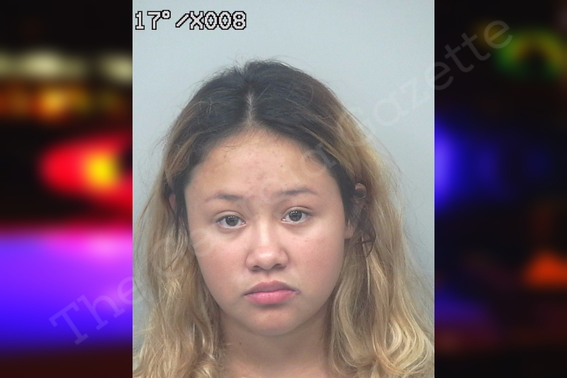 Maria Reyes — Gwinnett County Jail Bookings