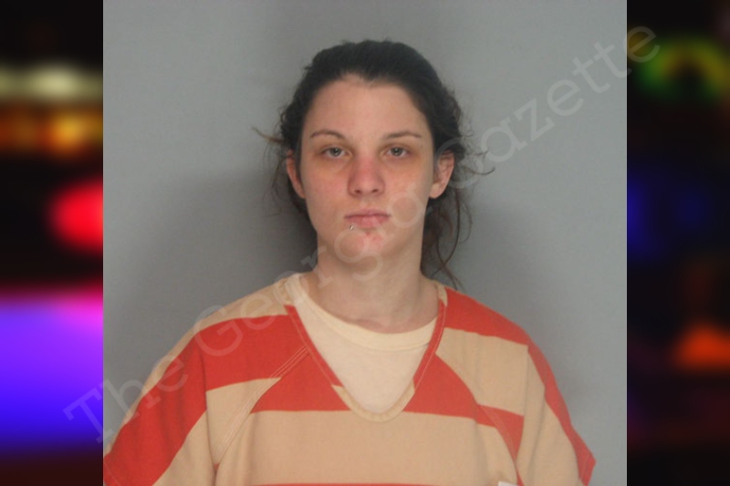 Brianner Ross Rummell — Hall County Jail Bookings