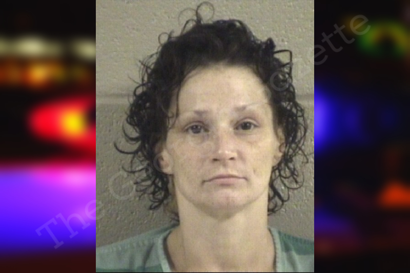 Robin Rhodes — Whitfield County Jail Bookings