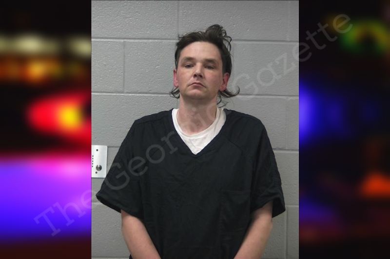 Christopher Sherman — Gilmer County Jail Bookings