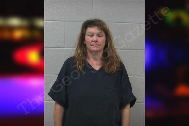 Lisa Sledge — Gilmer County Jail Bookings