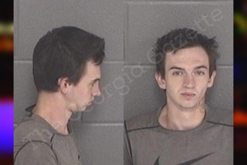 William Sizemore — Barrow County Jail Bookings