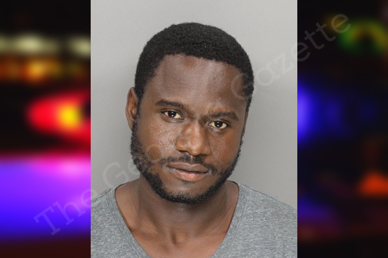 Steeve Gaudin — Cobb County Jail Bookings