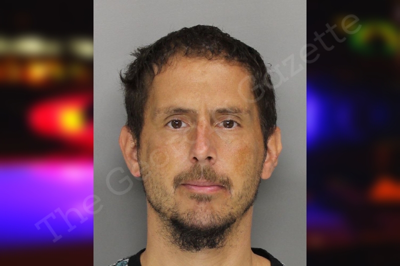 Steven Lee — Cobb County Jail Bookings