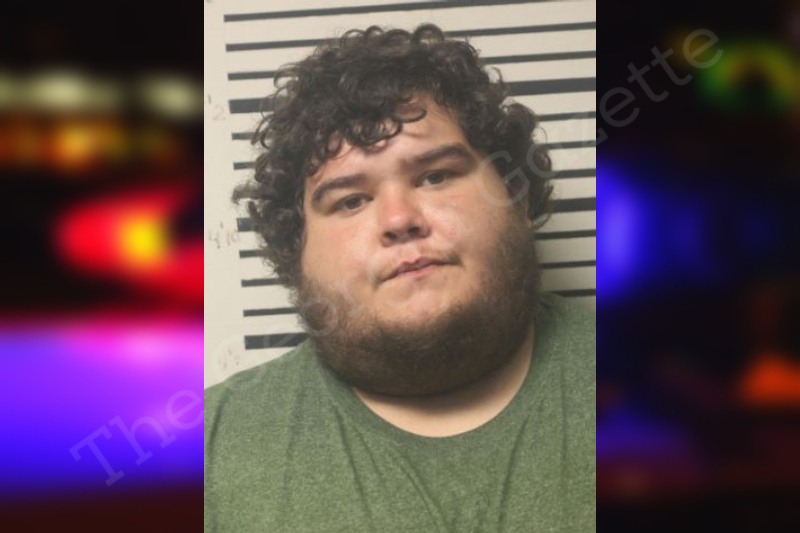 Steven Willis — Toombs County Jail Bookings