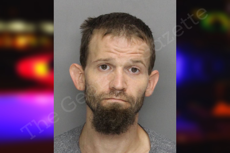 Timothy Briscoe — Cobb County