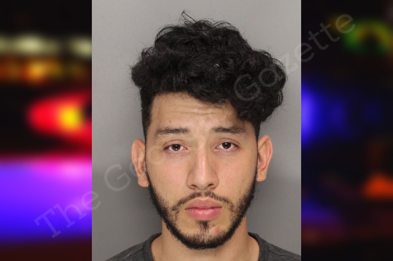 Tyler Estrada — Cobb County Jail Bookings