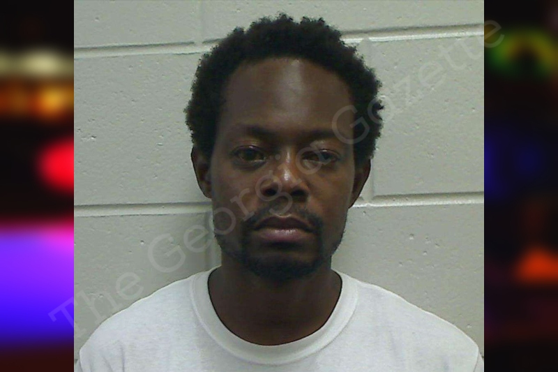 Grayson Wallace — Bulloch County Jail Bookings