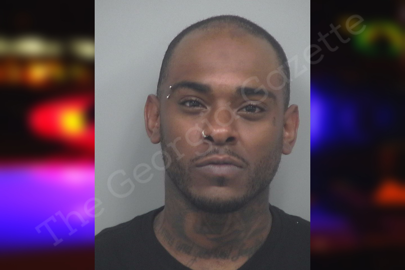 Taylor Wilkens — Gwinnett County Jail Bookings