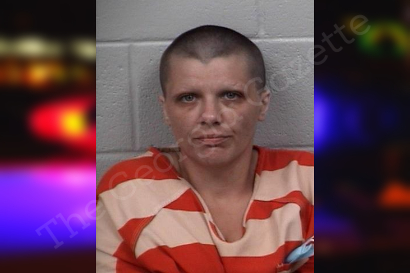 Marina Wood — Paulding County Jail Bookings